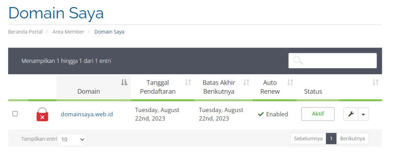 Cara Menghubungkan Domain Menggunakan DNS Management - NyanBlog